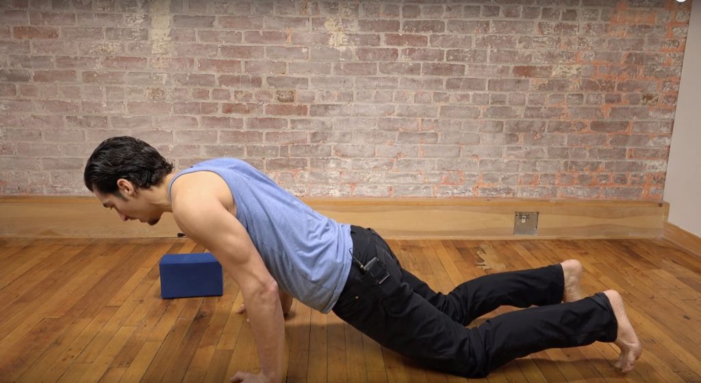 Chaturanga Alignment Part 2 - THEYOGIMATT