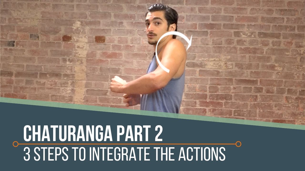 Chaturanga Alignment Part 2 - THEYOGIMATT