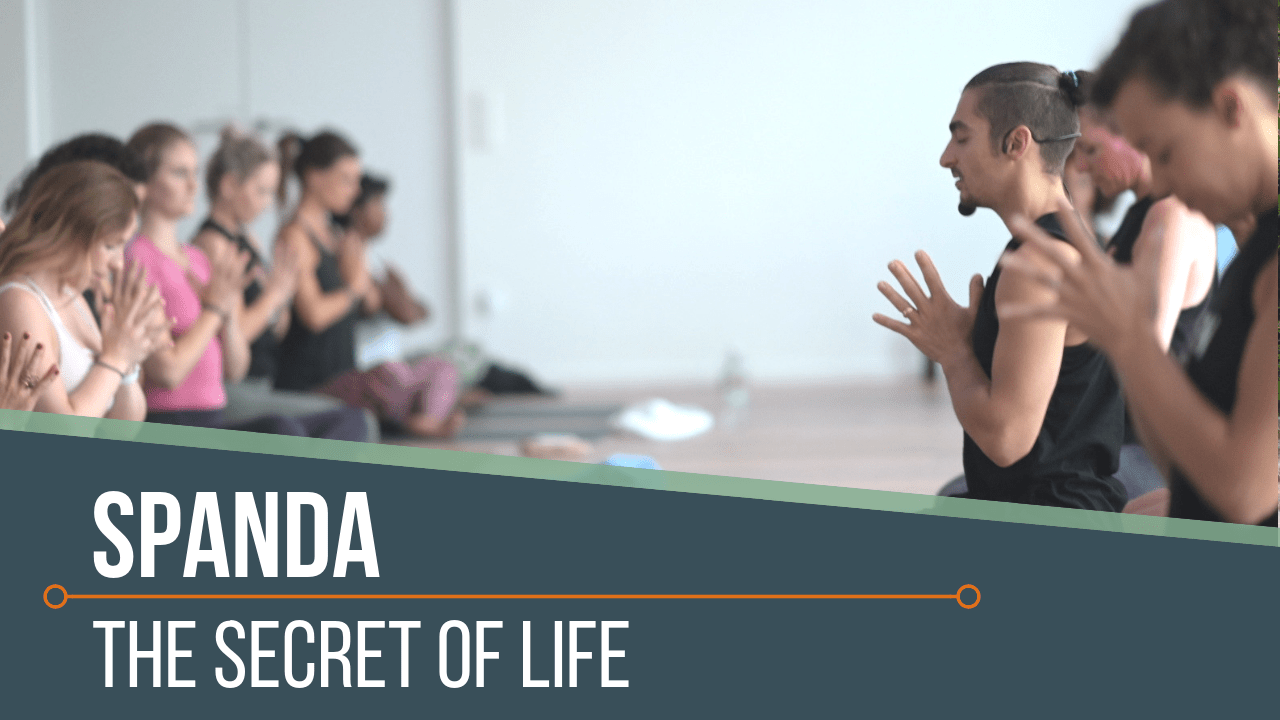 Spanda: Secret of Life - THEYOGIMATT