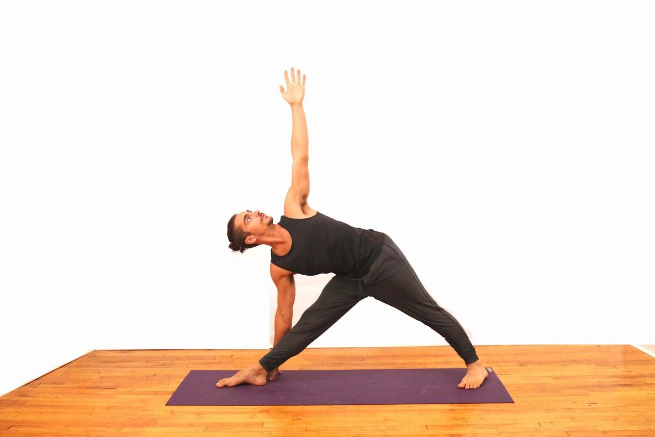 Anatomy In Motion - THEYOGIMATT