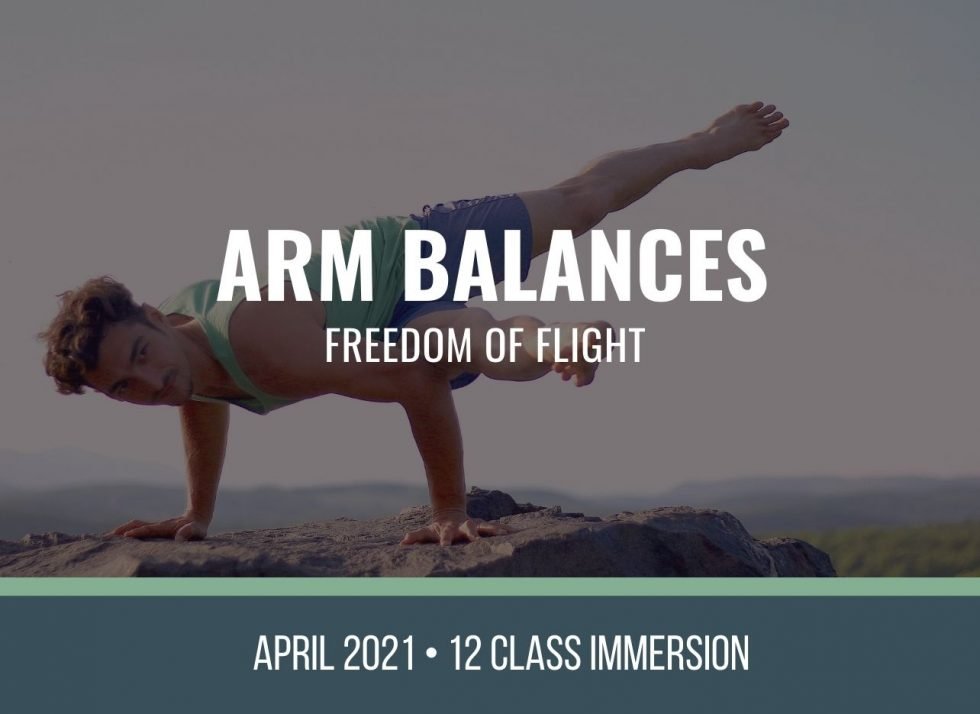 Arm Balances: Online Yoga ImmersionArm Balance Immersion April 2021 ...