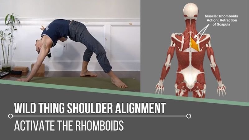 Wild Thing Shoulder Alignment - THEYOGIMATT