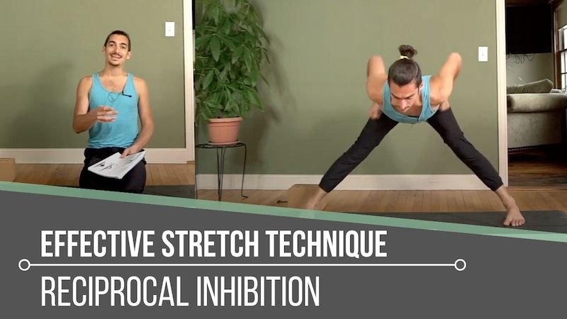hamstring stretch technique for wide legged forward fold - THEYOGIMATT
