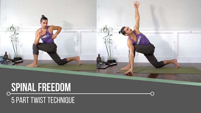 Spinal Freedom In Revolved Low Lunge - THEYOGIMATT