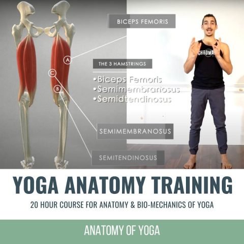 Leg Over Head Pose - THEYOGIMATT