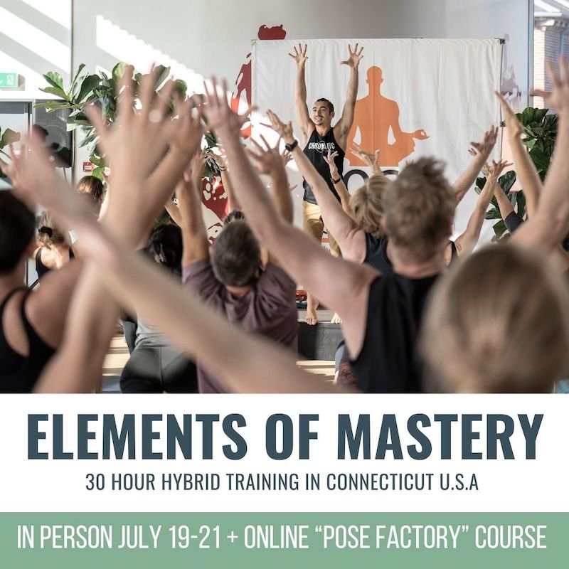 Elements of Mastery 30 Hour Hybrid 2024 - THEYOGIMATT