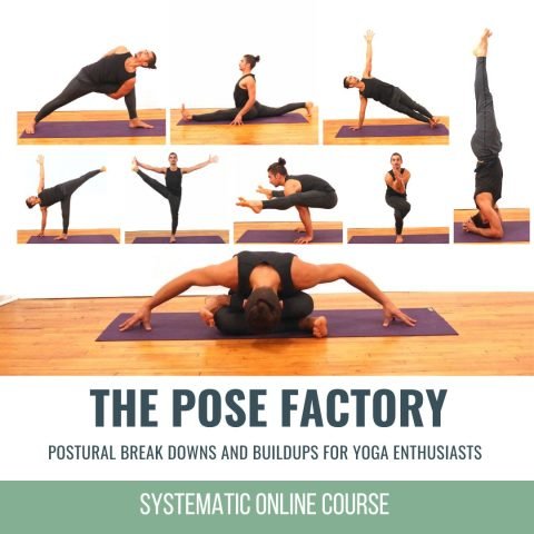 Chin Stand - THEYOGIMATT