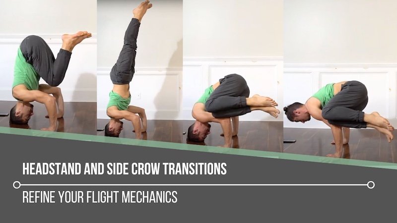 Free yoga Videos and Blogs || Exclusive Yoga Blogs and Videos